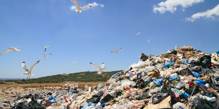 How Waste Management Helps The Environment | Matt's Skip Bins